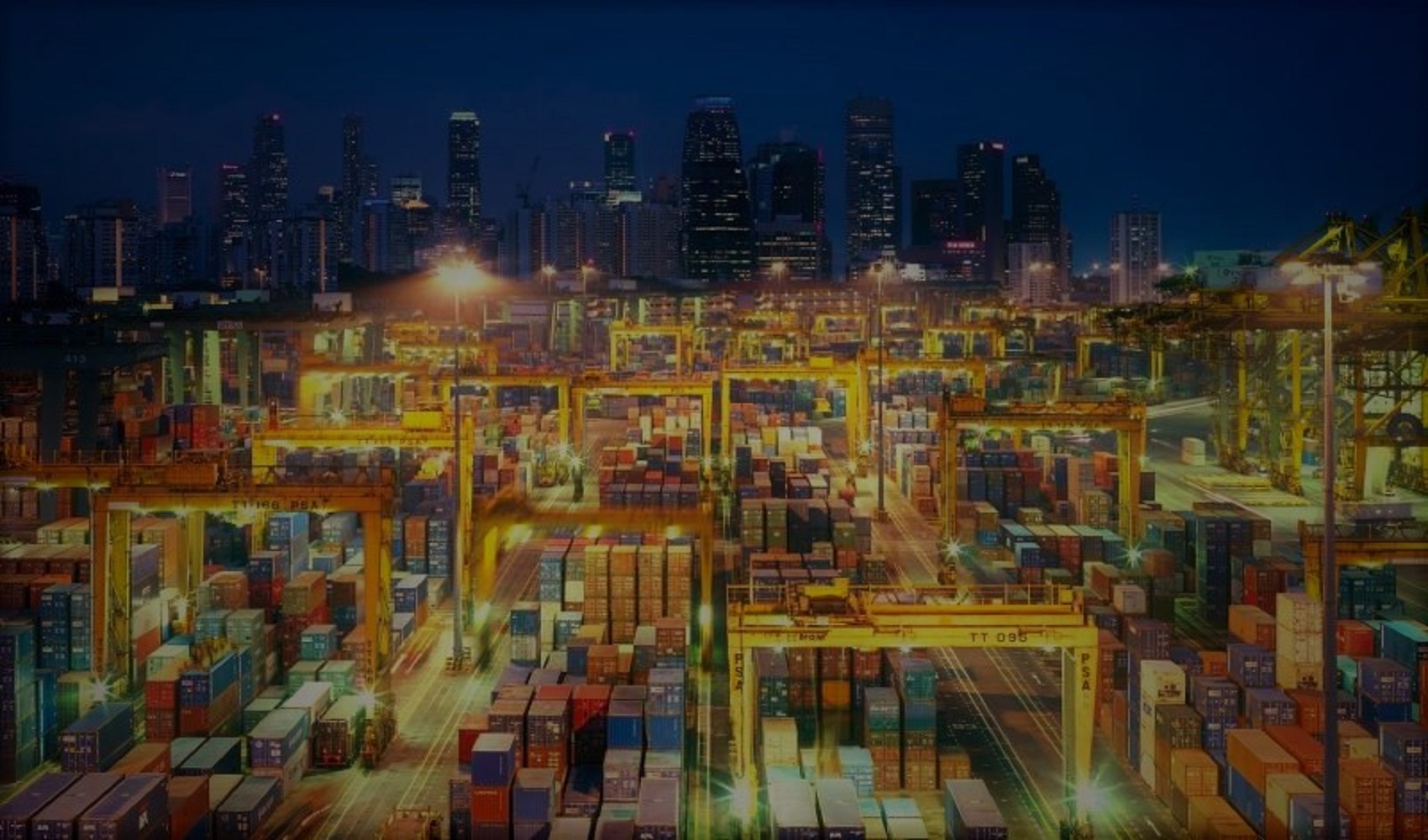 ESG EVERLUCKY | ESG INTERNATIONAL LOGISTICS & TRADE | ESG SINGAPORE